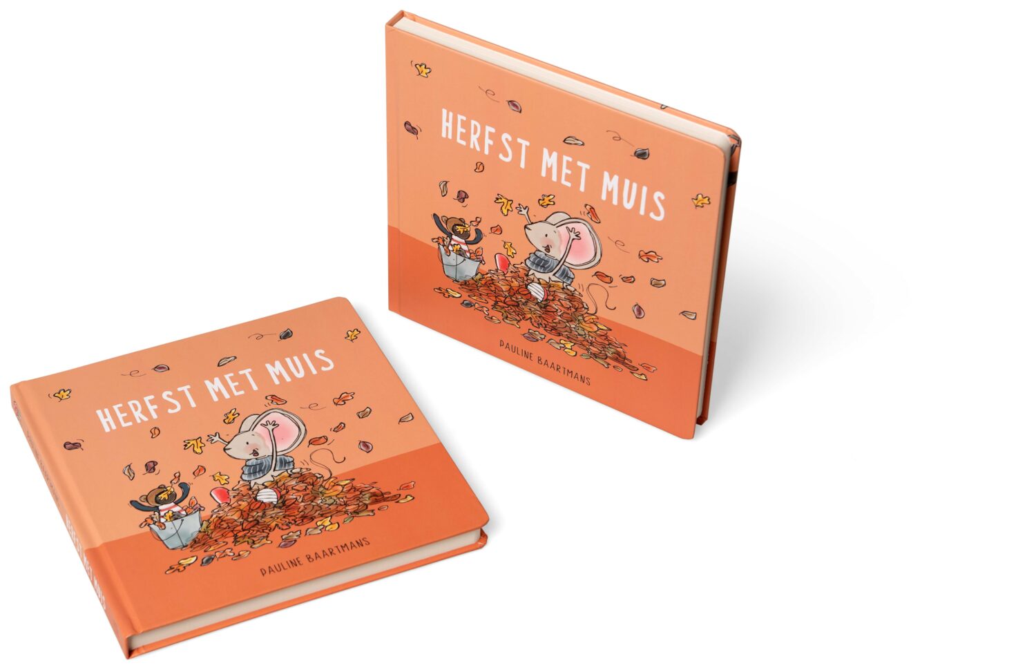 Herfst met Muis - Pauline Baartmans - Kinderboeken.nl Herfst met Muis - Pauline Baartmans - Kinderboeken.nl